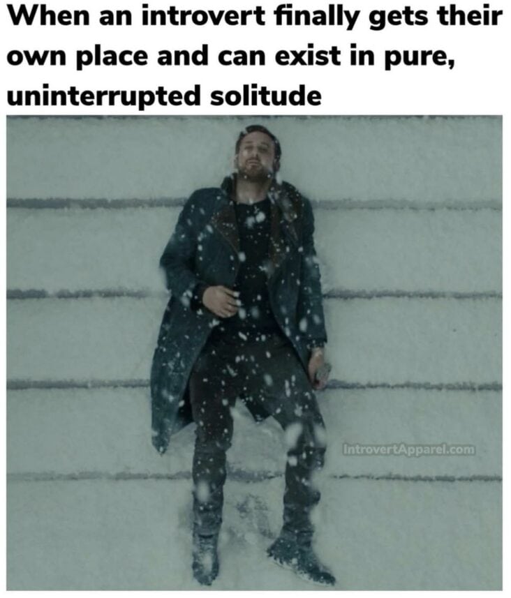 30 Introvert Memes You Can Read In Your Shell Like A Lil Hermit Crab