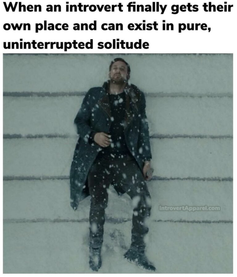 30 Introvert Memes You Can Read In Your Shell Like A Lil Hermit Crab