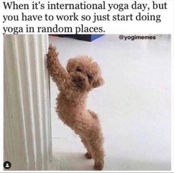 35 Funny Yoga Memes That’ll Leave Your Chakras Shook And Your Core Sore ...