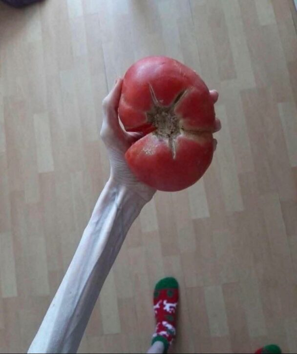 30 Funny Pictures That'll Make You Say 'Hmmm' Because No Other Words ...