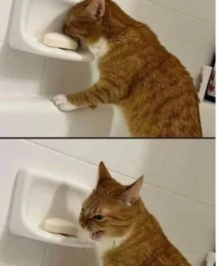 30 Funny Pictures That'll Make You Say 'Hmmm' Because No Other Words ...