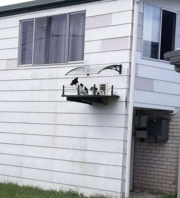 30 Funny Pictures That'll Make You Say 'Hmmm' Because No Other Words ...