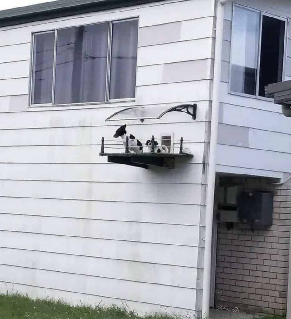 30 Funny Pictures That'll Make You Say 'Hmmm' Because No Other Words ...