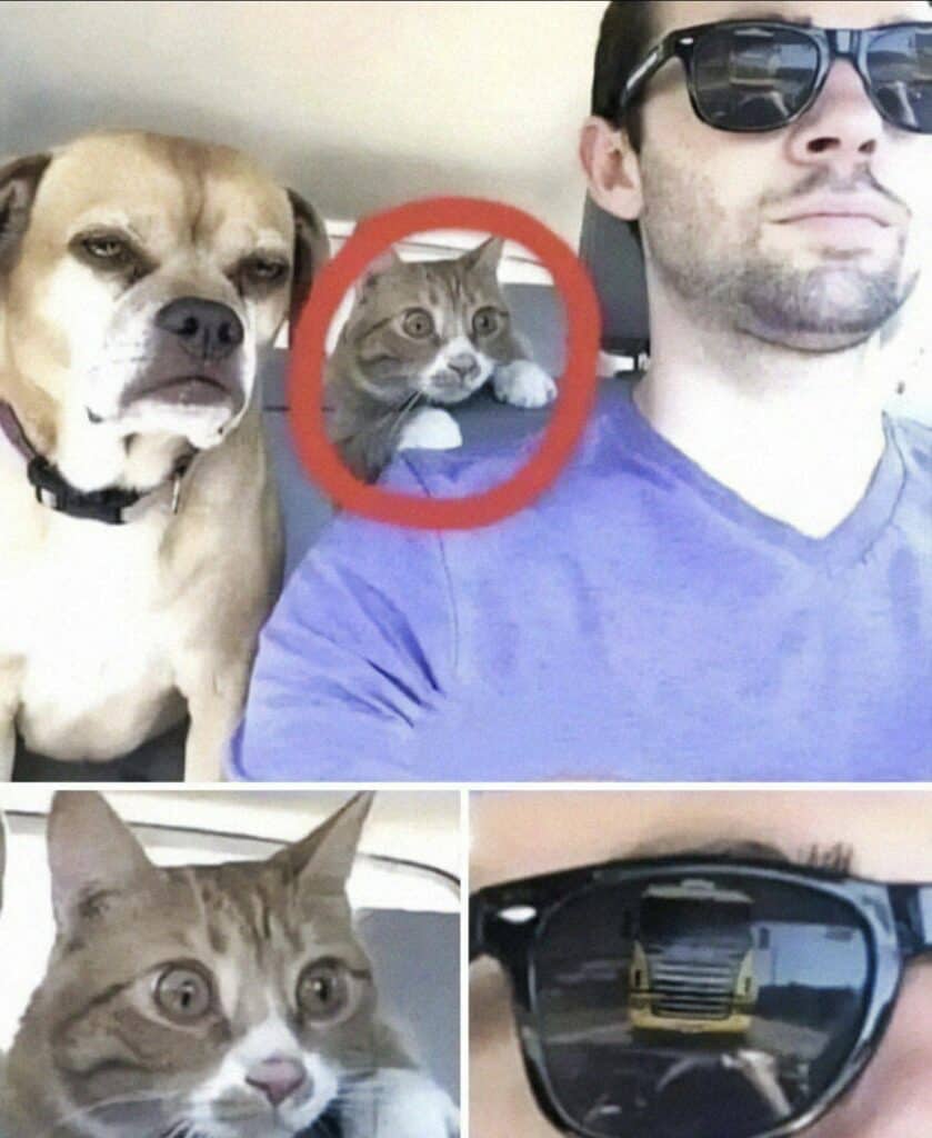 30 Funny Pictures That'll Make You Say 'Hmmm' Because No Other Words ...
