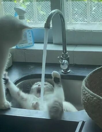 30 Funny Pictures That'll Make You Say 'Hmmm' Because No Other Words ...