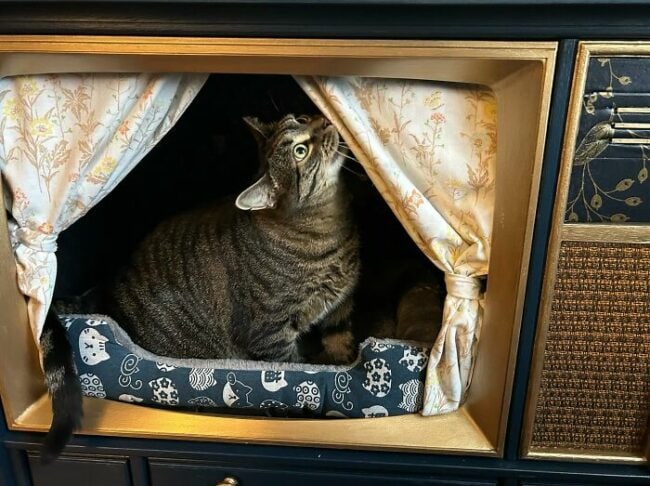 Retro-Inspired Cat Beds Made By Man Who Upcycles Classic TVs And Radios