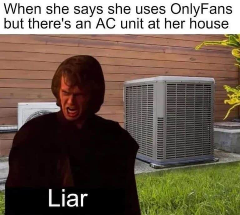 25 Funny Anakin Skywalker Memes For Star Wars Fans Who Would 100% Turn ...