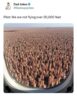 35 Visual Dad Jokes That Prove Funny Picture Puns Are Worth 1,000 Groans