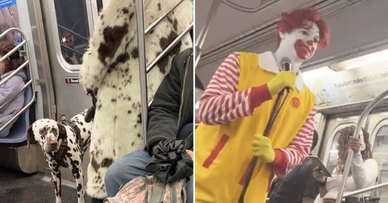 36 Funny Subway Pictures So Unhinged We Missed Our Stop From Laughing
