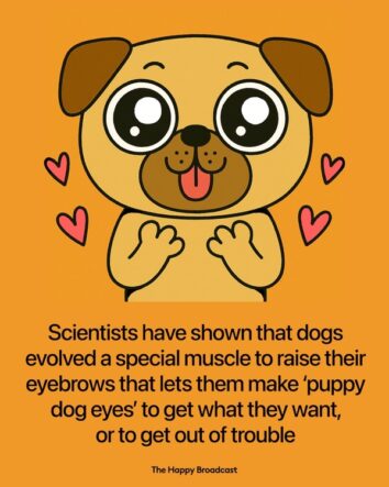 35 Wholesome Good News Comics To Help Drown Out The Bad News From 'The ...
