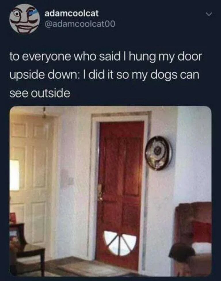 25 Wholesome Tweets That Made Us Smile Like An Idiot This Week