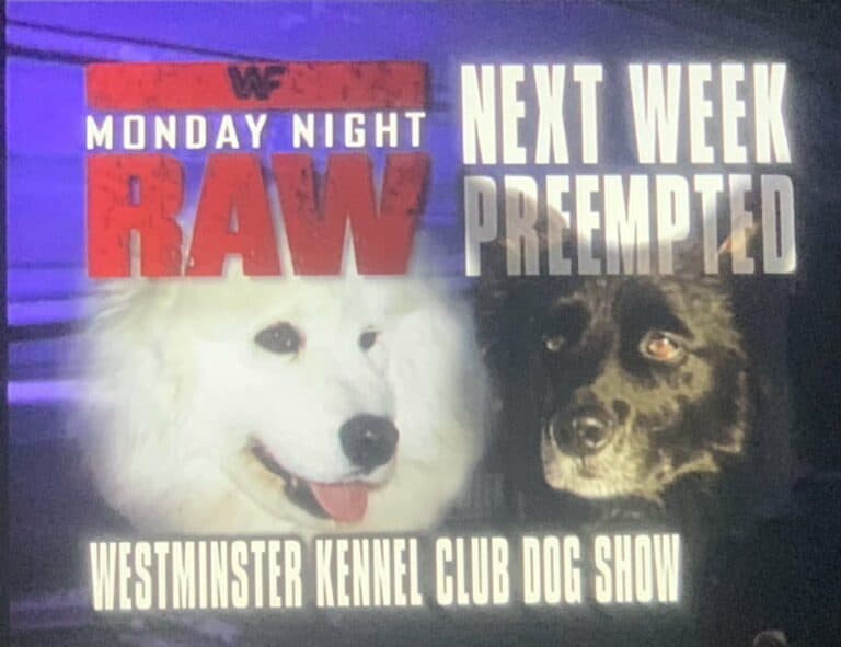 35 Accidentally Hilarious Sports Graphics That Scored Big In The Meme World