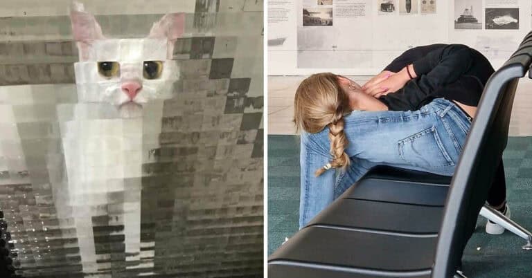 45 Incredible Pictures That Seem AI Or Photoshopped, But Are 100% Real