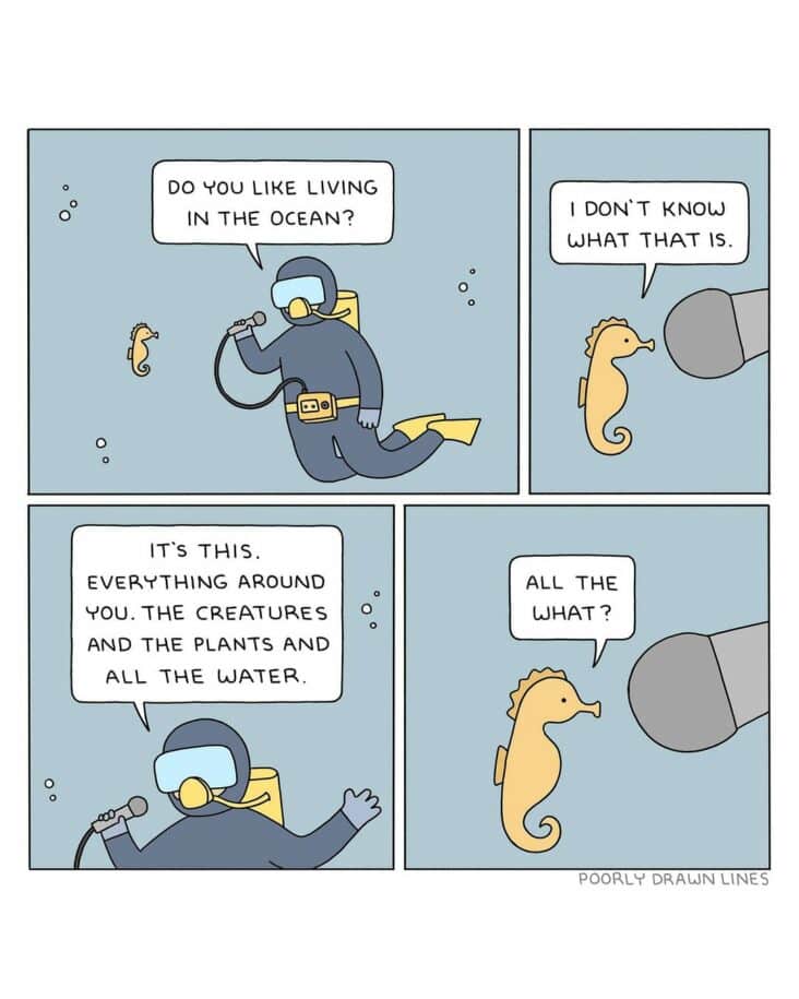 35 Dark And Silly Comics With Twisted Animals From Poorly Drawn Lines