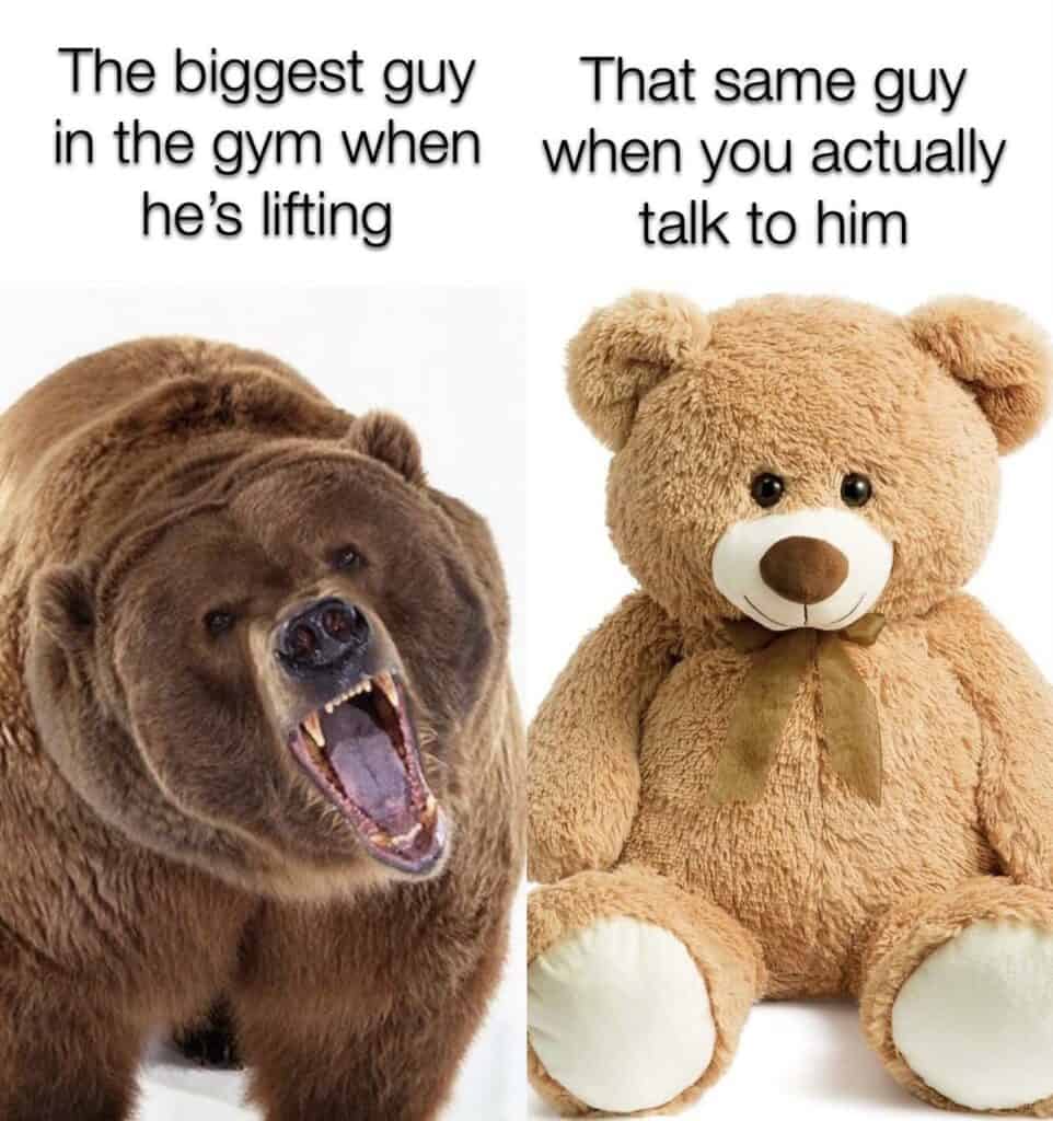 30 Exercise Memes For Folks In The Gym Just Trying To Sweat Enough To ...