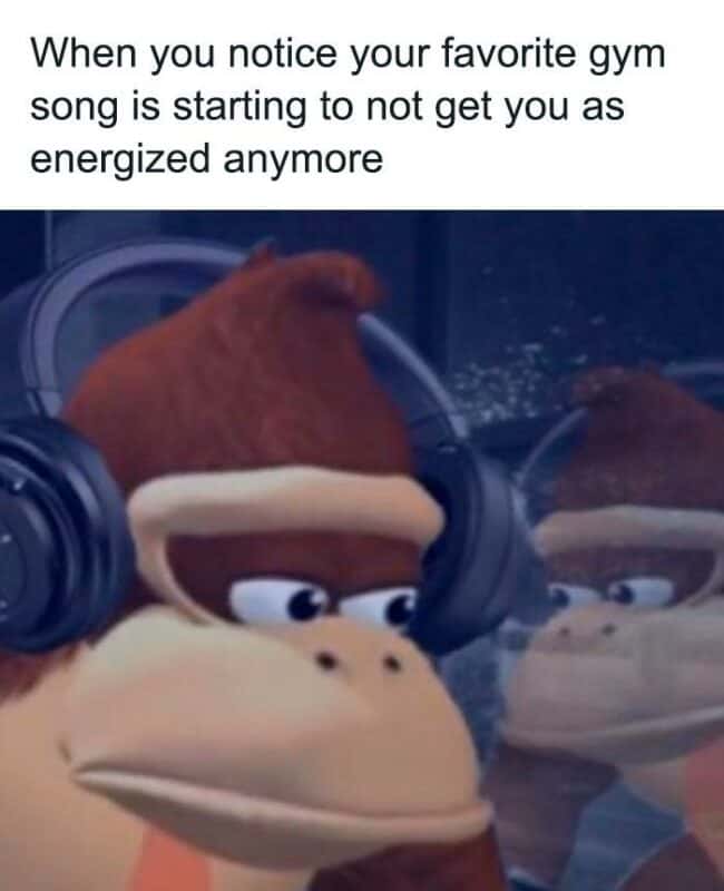 30 Exercise Memes For Folks In The Gym Just Trying To Sweat Enough To ...