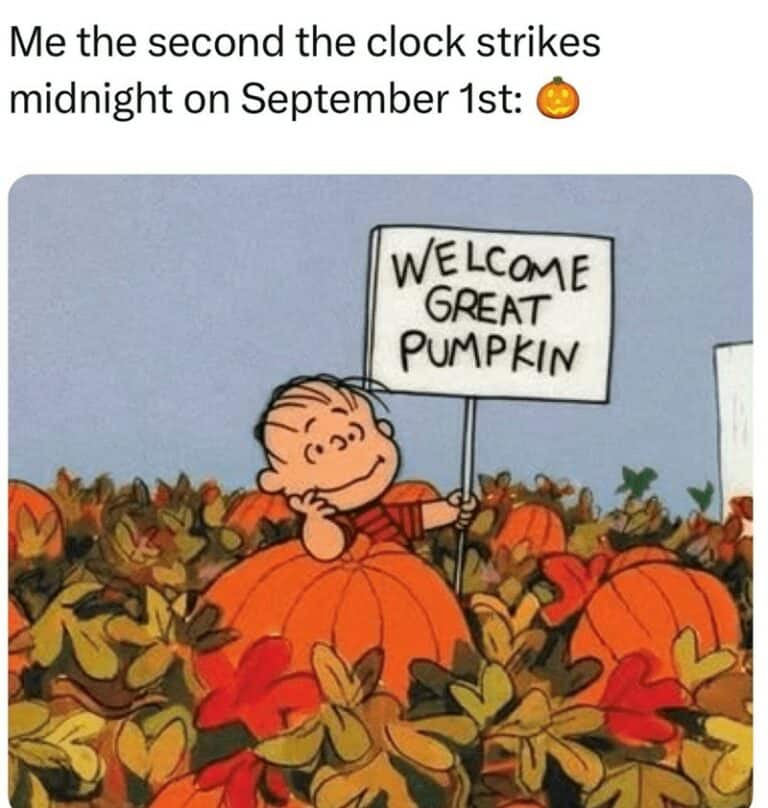 30 Fall Memes Coming In Faster Than A Spirit Halloween In An Abandoned ...