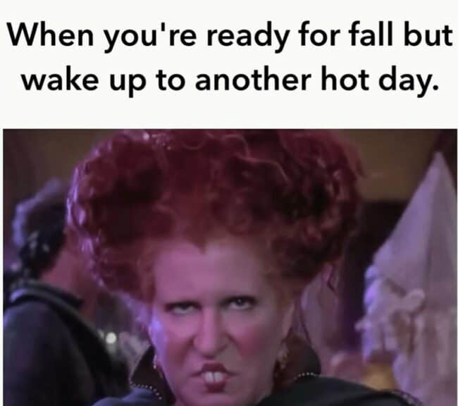 30 Fall Memes Coming In Faster Than A Spirit Halloween In An Abandoned ...