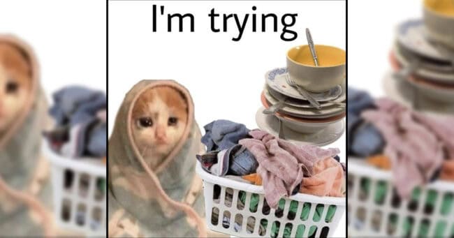 30 Funniest Memes For Mental Health Warriors Winning And Losing Some ...