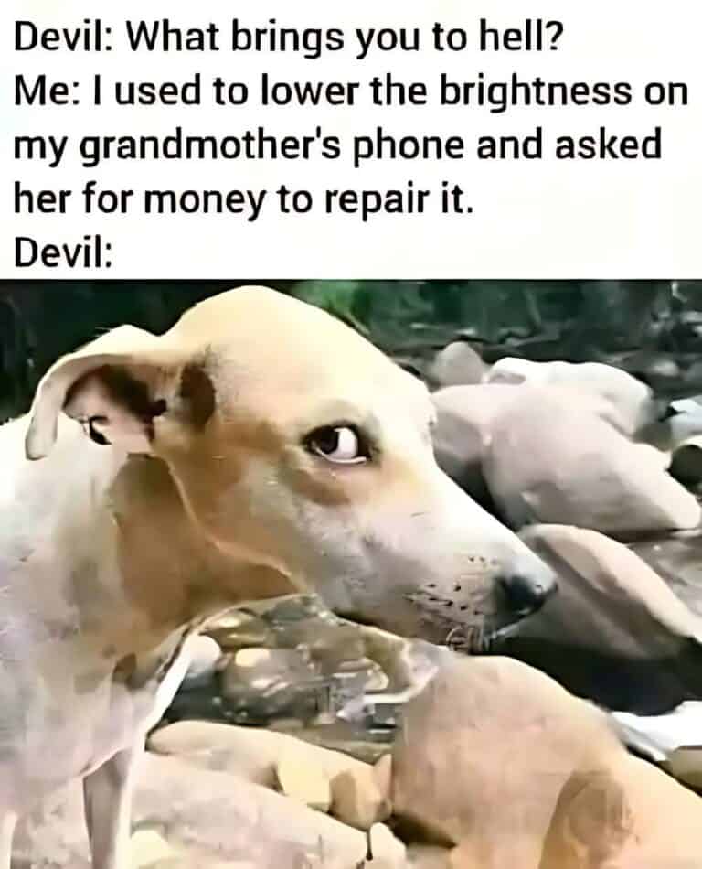 35 Funniest Random Memes That Lit Up The Group Chat This Week