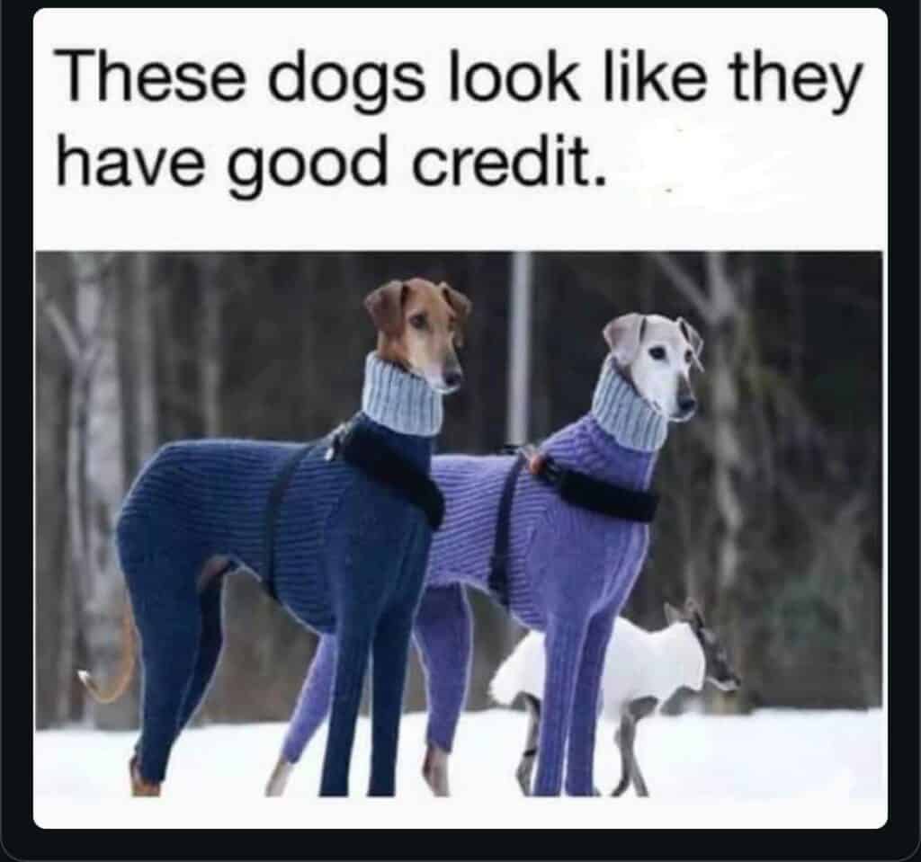 35 Funniest Random Memes That Lit Up The Group Chat This Week