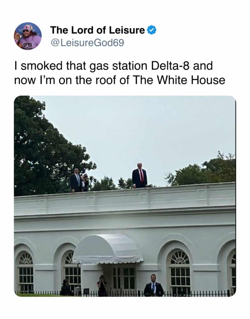 20 Funniest Tweets About Trump Walking On The Whitehouse Roof