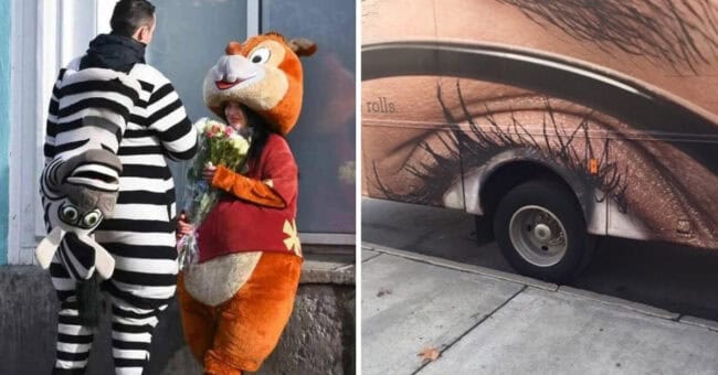 45 Funny And/Or Random Pictures To Spice Up Your Afternoon Scroll ...