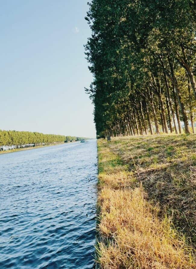 45 Incredible Pictures That Seem AI Or Photoshopped, But Are 100% Real