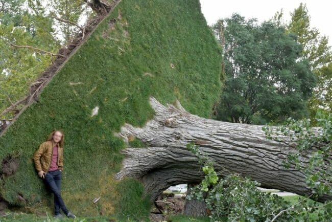 45 Incredible Pictures That Seem AI Or Photoshopped, But Are 100% Real