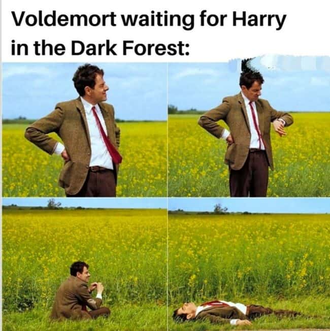 35 Magical Harry Potter Memes From The Meme Cart On The Hogwarts Express