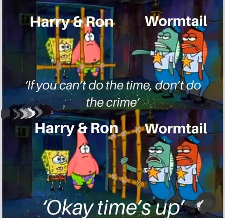 35 Magical Harry Potter Memes From The Meme Cart On The Hogwarts Express