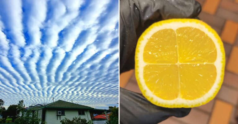 Pleated Jeans | Page 7 of 1024 | No filler, just funny.