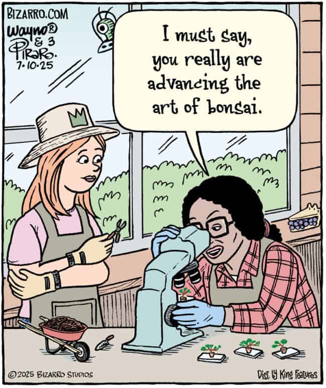 35 'Out There' Comics From Award Winning Bizarro Cartoonist Wayno