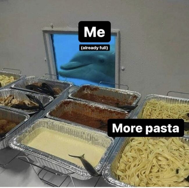 30 Pasta Memes That'll Spaghetti Your Meatballs