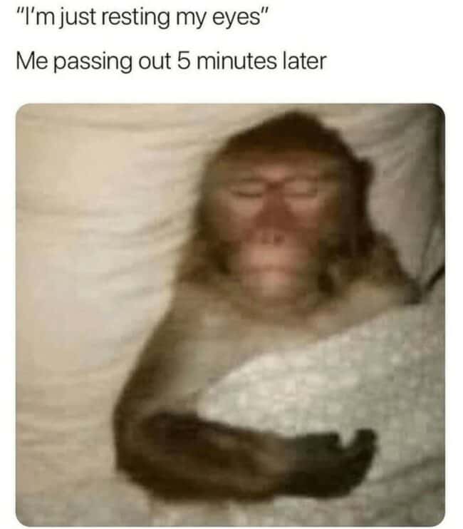 35 Sleepy Memes For Tired Folks Who Choose Their Bed Over Everything