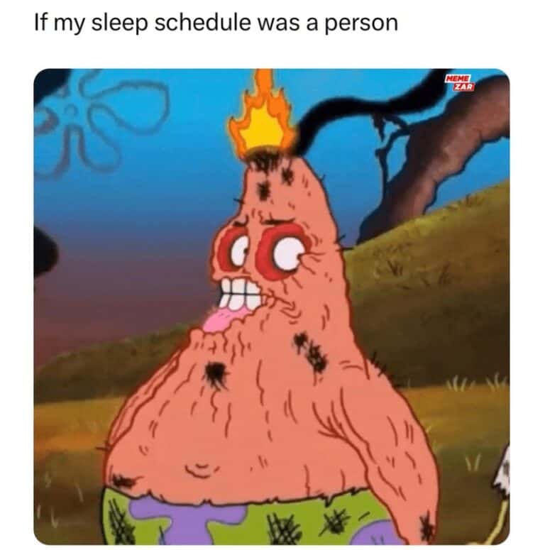 35 Sleepy Memes For Tired Folks Who Choose Their Bed Over Everything