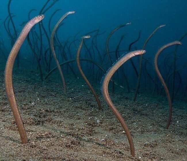 45 Unsettling Ocean Pictures That'll Give You A Healthy Fear And ...