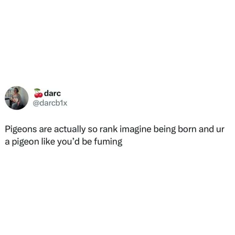 30 Very British Tweets From The Masters Of Dry Humor And Biting Wit