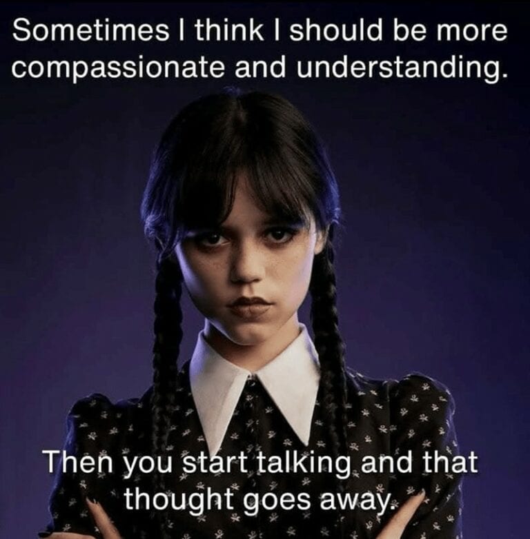 30 Funny Wednesday Addams Memes To Get You In A Dark Headspace