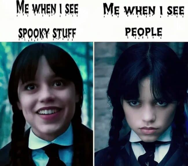 30 Funny Wednesday Addams Memes To Get You In A Dark Headspace