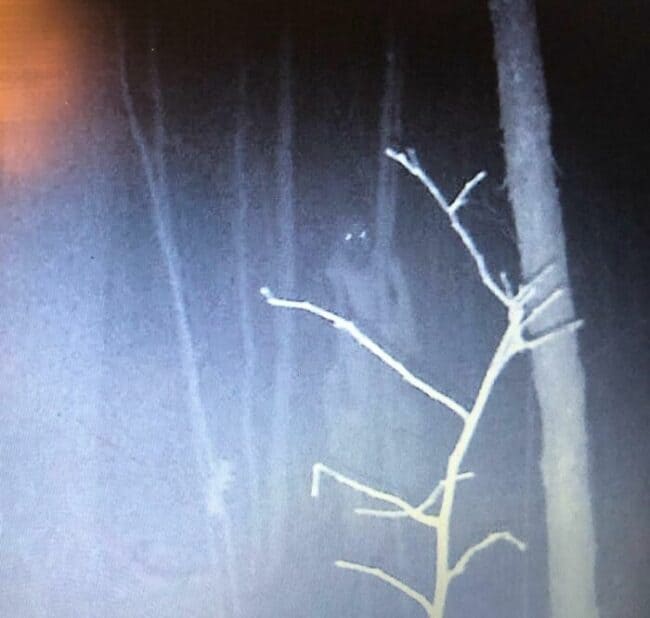 35 Chilling And Unexplained Ghost Encounters From People Shook To Their ...