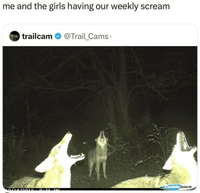 35 Dark Humor Memes To Help You Laugh Away The Demons