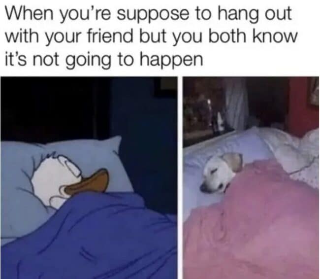 35 Funny Best Friend Memes That Hit Like An Inside Joke