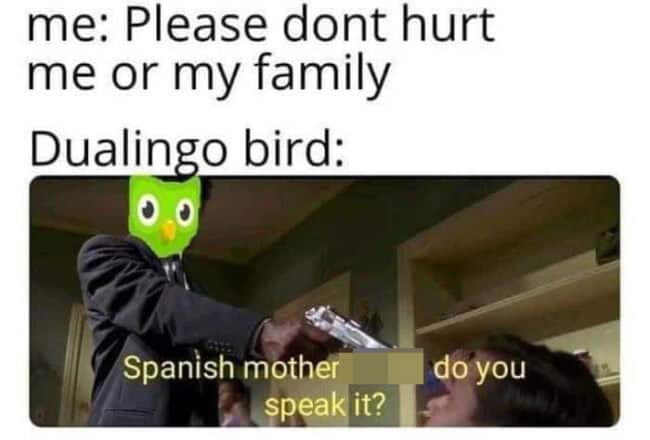30+ Funniest Duolingo Memes For Cunning Linguists Terrified Of Losing ...