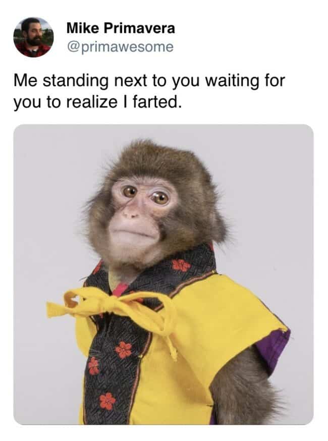 30 Funniest Fart Memes You Can't Blame On The Dog