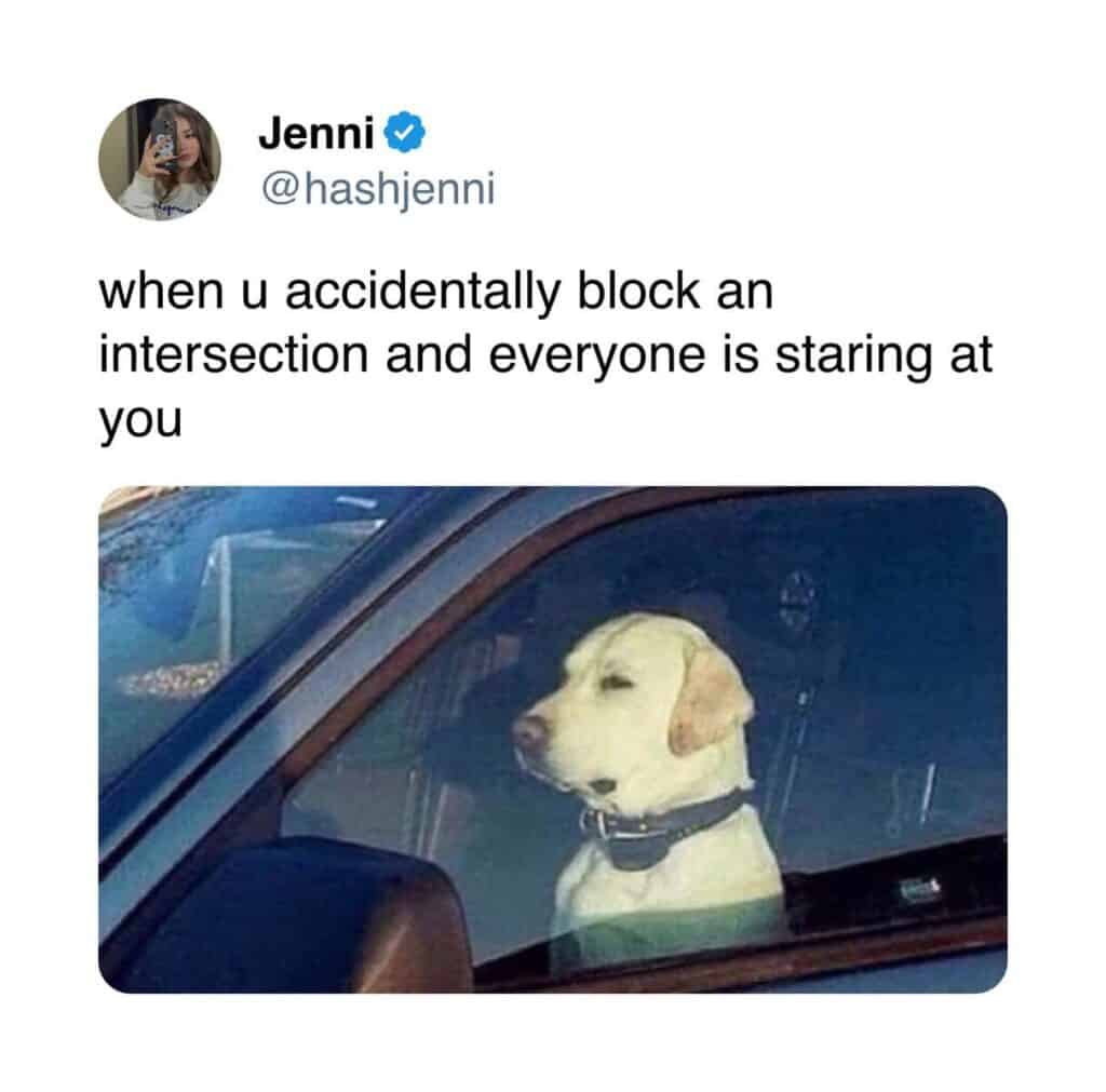 30 Funniest Memes About Traffic For Commuters Stuck Behind The Slow Car ...