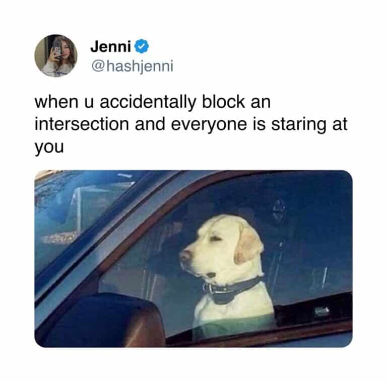 30 Funniest Memes About Traffic For Commuters Stuck Behind The Slow Car ...