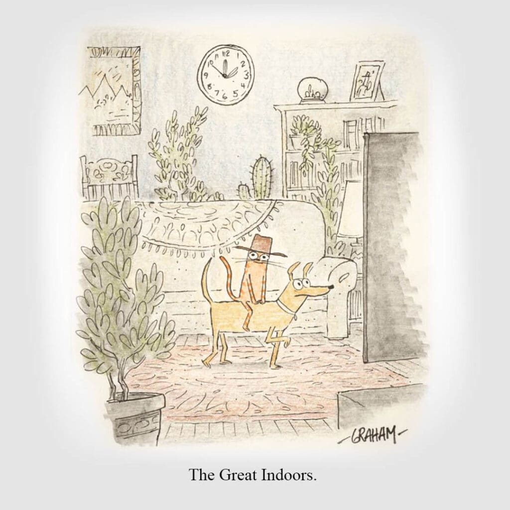 30 Funny Comics From The Delightfully Dark And Silly Mind Of Graham Annable