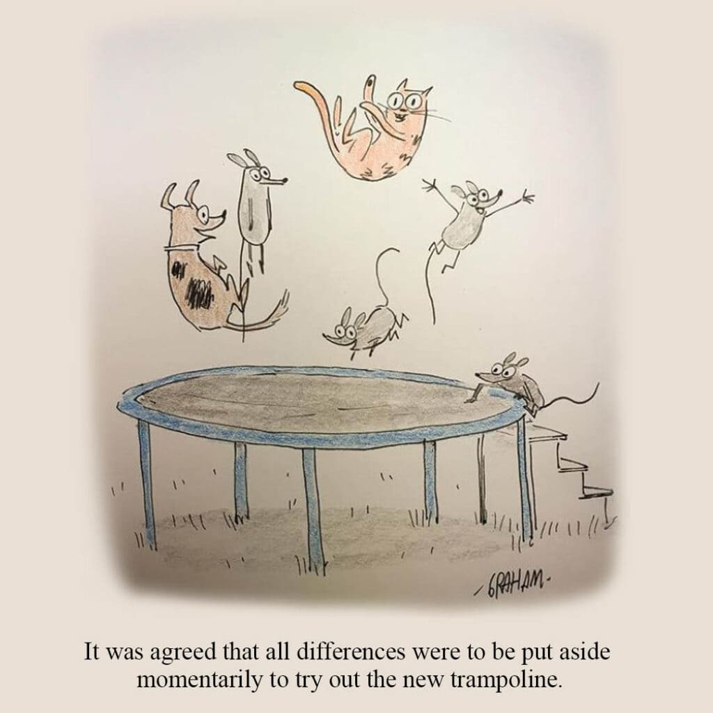30 Funny Comics From The Delightfully Dark And Silly Mind Of Graham Annable