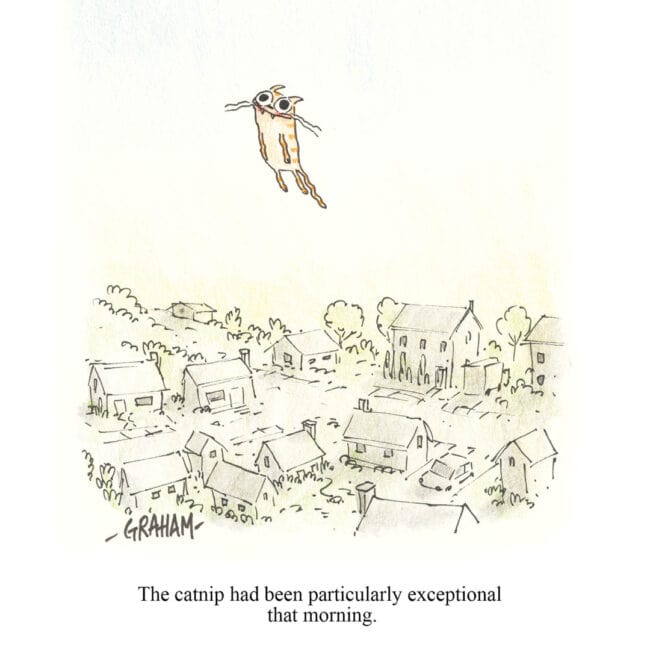 30 Funny Comics From The Delightfully Dark And Silly Mind Of Graham Annable